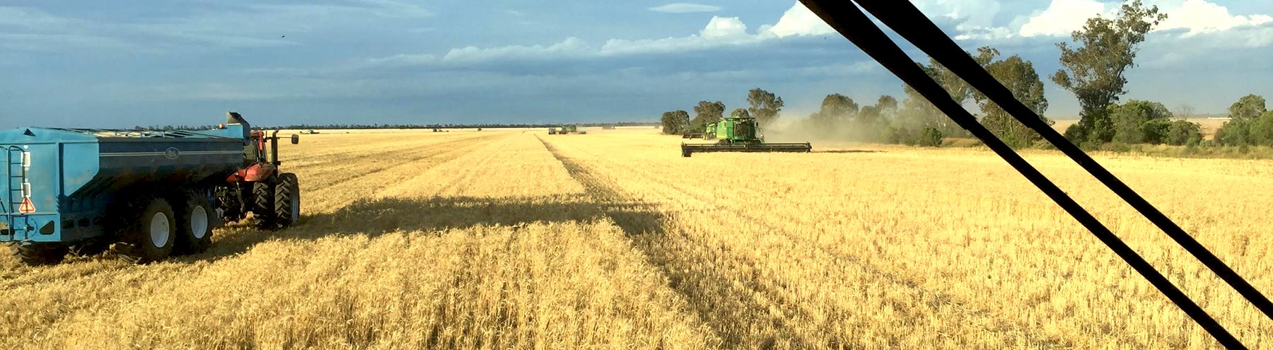 Multi Peril Crop Insurance - Farmers First