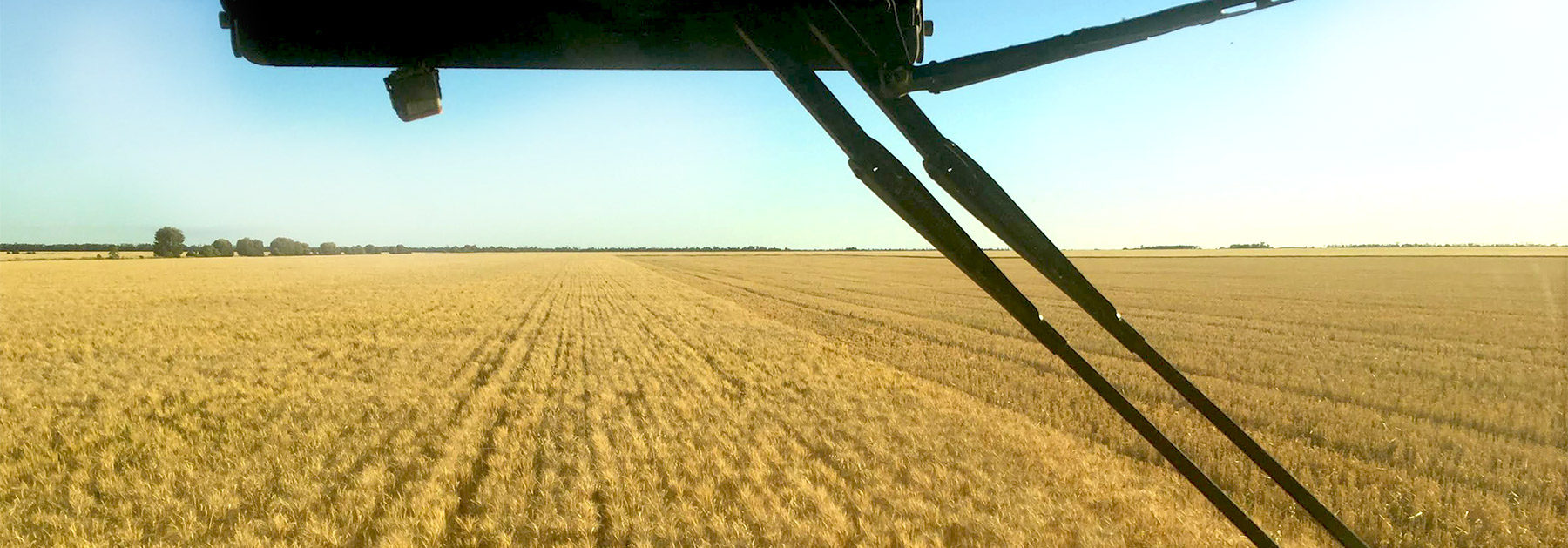 Farmers First - Multi Peril Crop Insurance - Farmers First